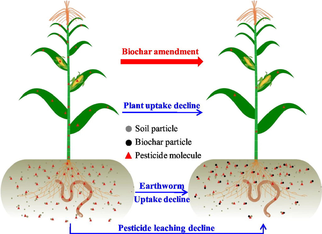 Pesticides In Soil Driving Pesticide Reduction – Why The Government