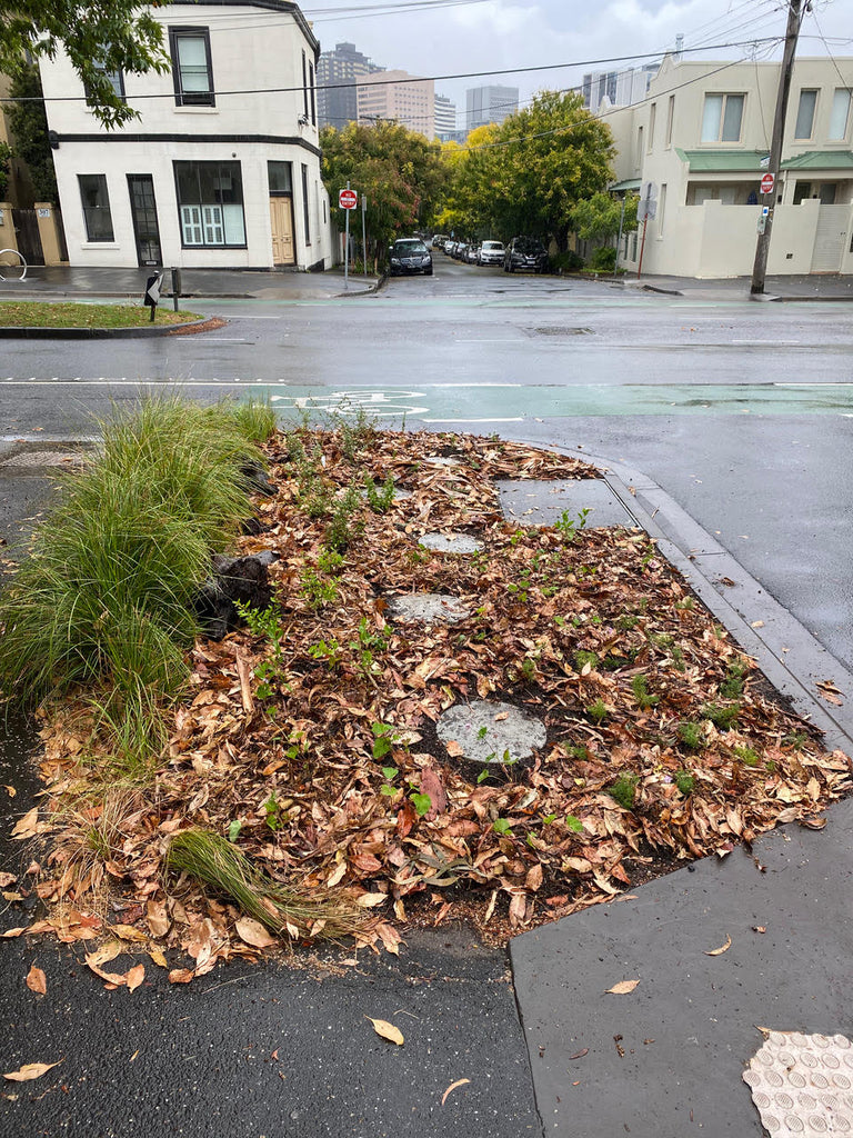The Heart Gardening Project: Indigenous Public Garden – Green Man Char