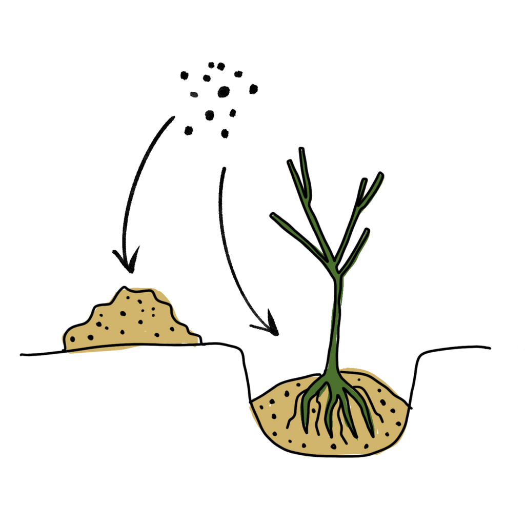 What to do with biochar in winter – Green Man Char