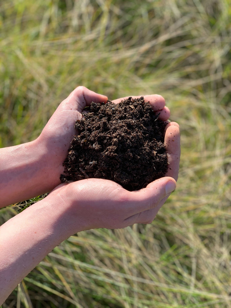 An Introduction to Frass! – Green Man Char