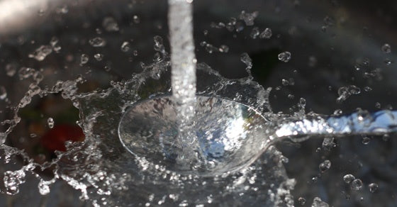 Using Biochar to Treat Pond and Waste Water – Green Man Char